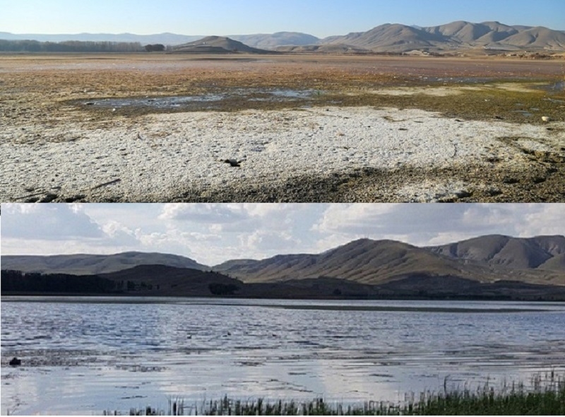 Şərqi Azərbaycanda ekoloji problem - Təbiət abidəsi qurudu